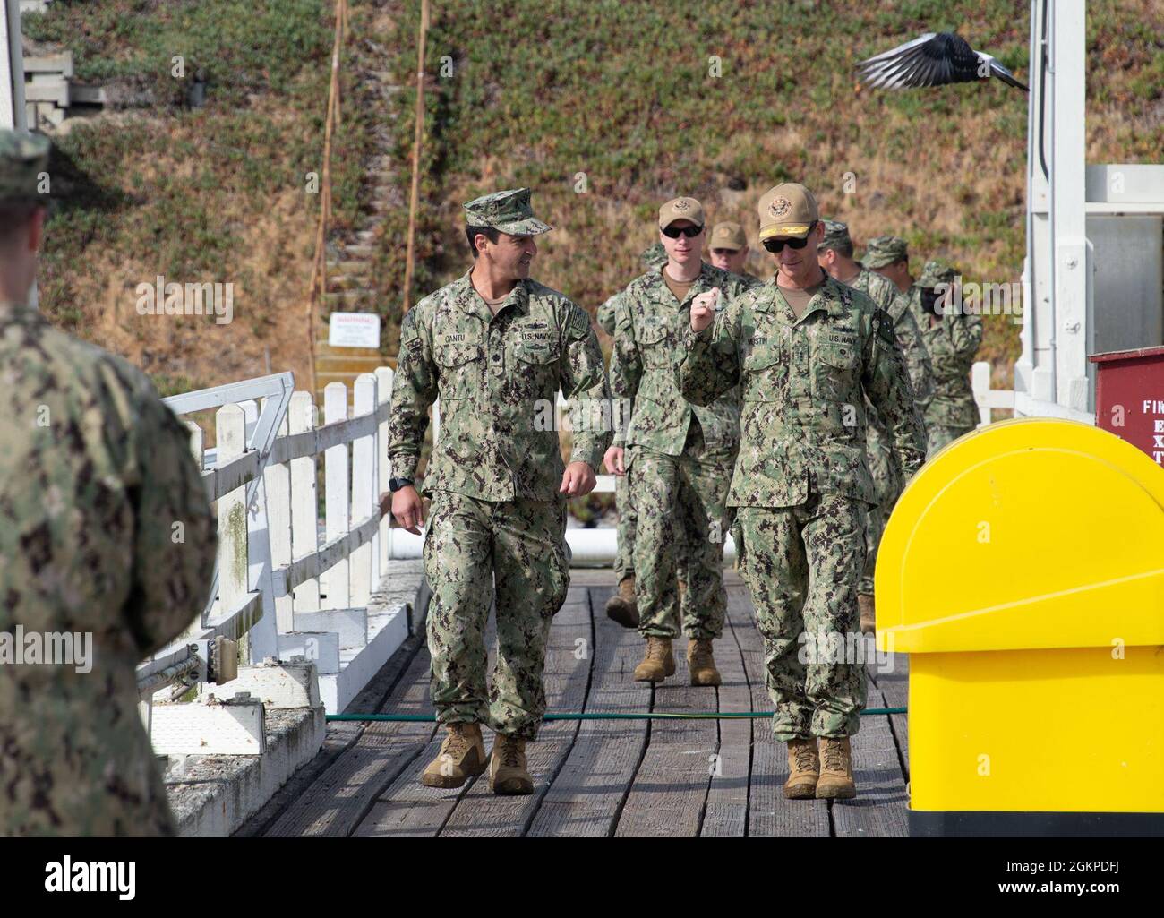 Mesf 11 hi-res stock photography and images - Alamy