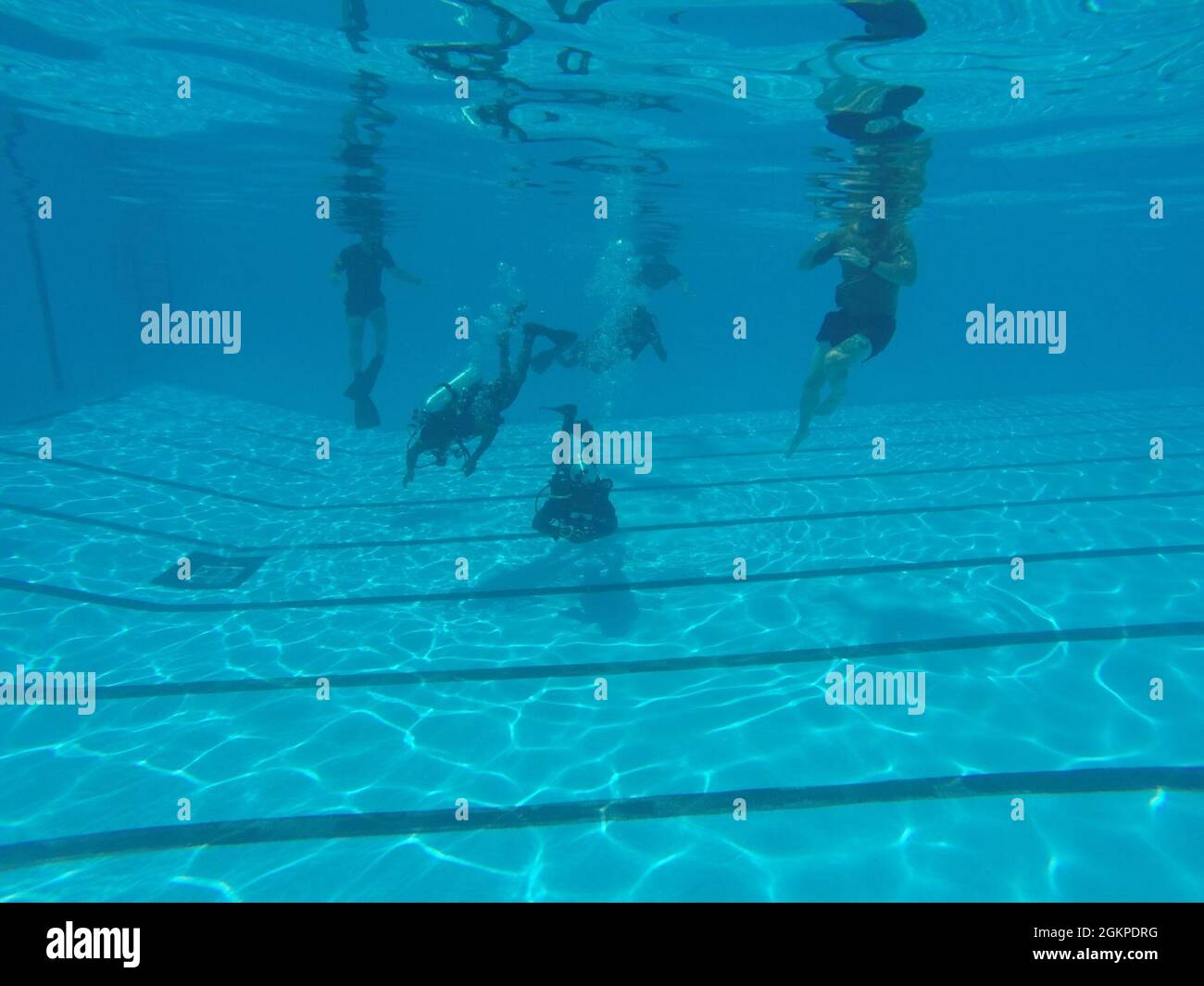 A Canadian Army Combat Diver, WO Joseph George, from Gagetown is ...