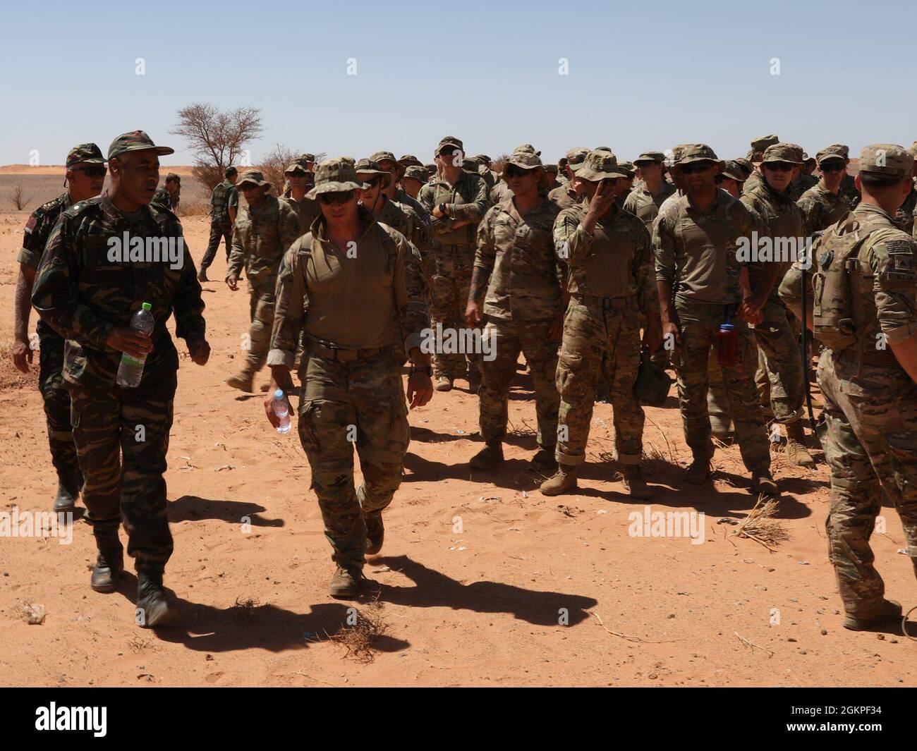 503rd pir hi-res stock photography and images - Alamy