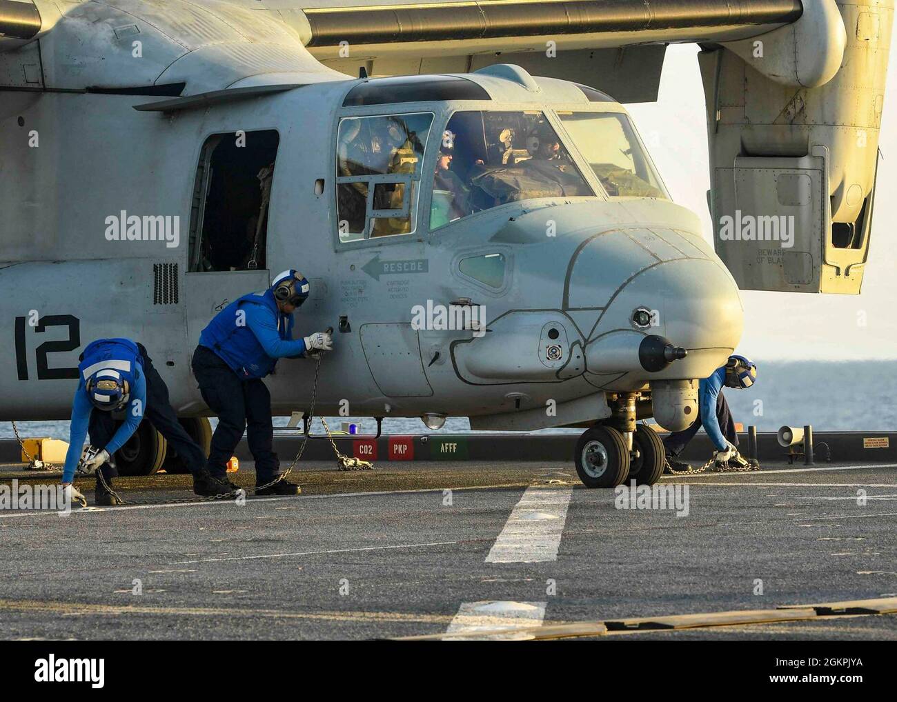 Mv lion hi-res stock photography and images - Alamy