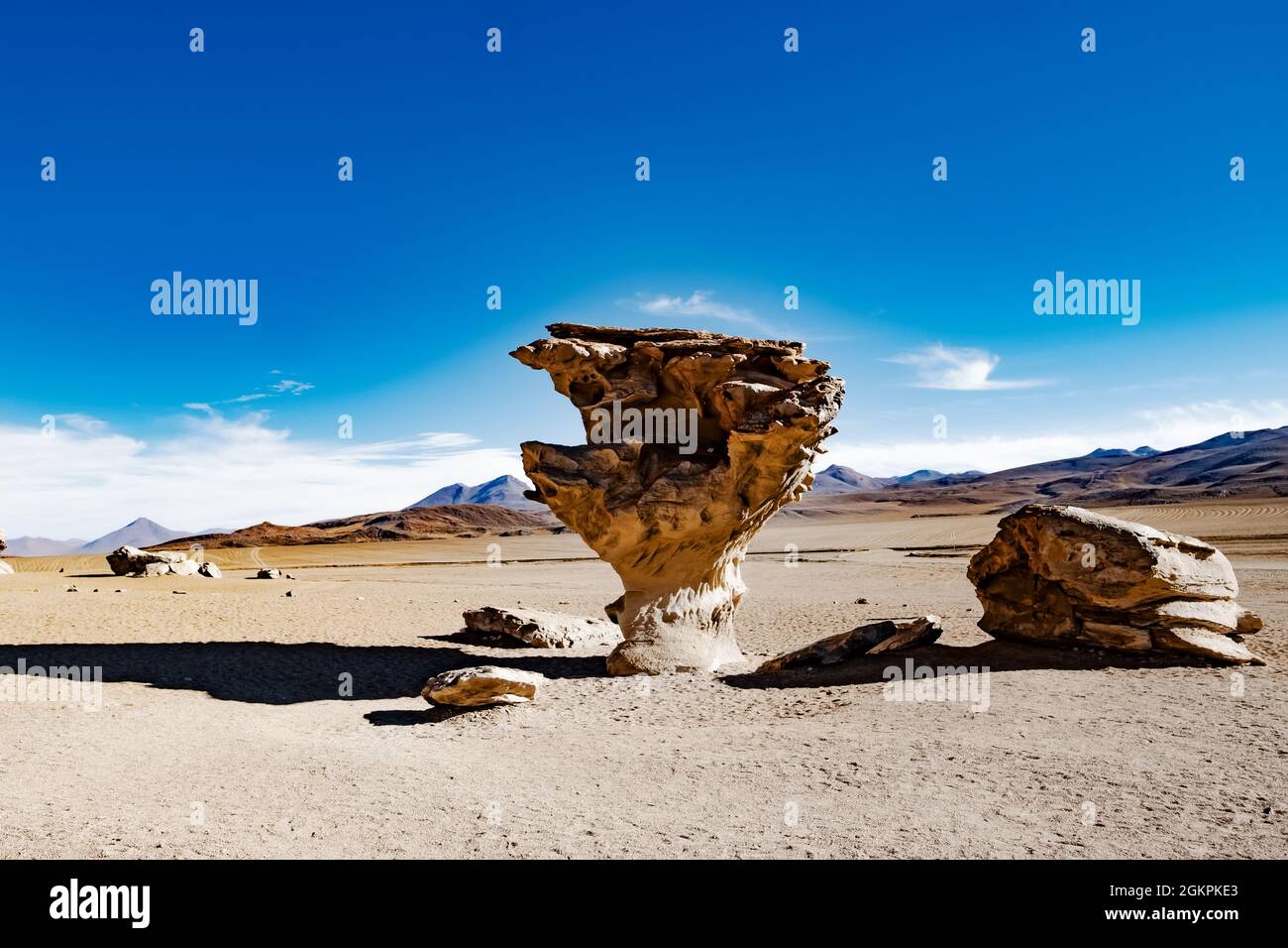 Stone tree in Bolivian desert Stock Photo - Alamy