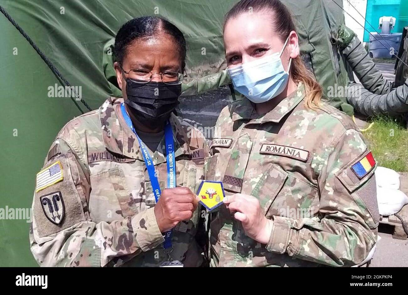 U.S. Army Reserve Brig. Gen. Wanda N. Williams, commander of the 7th ...