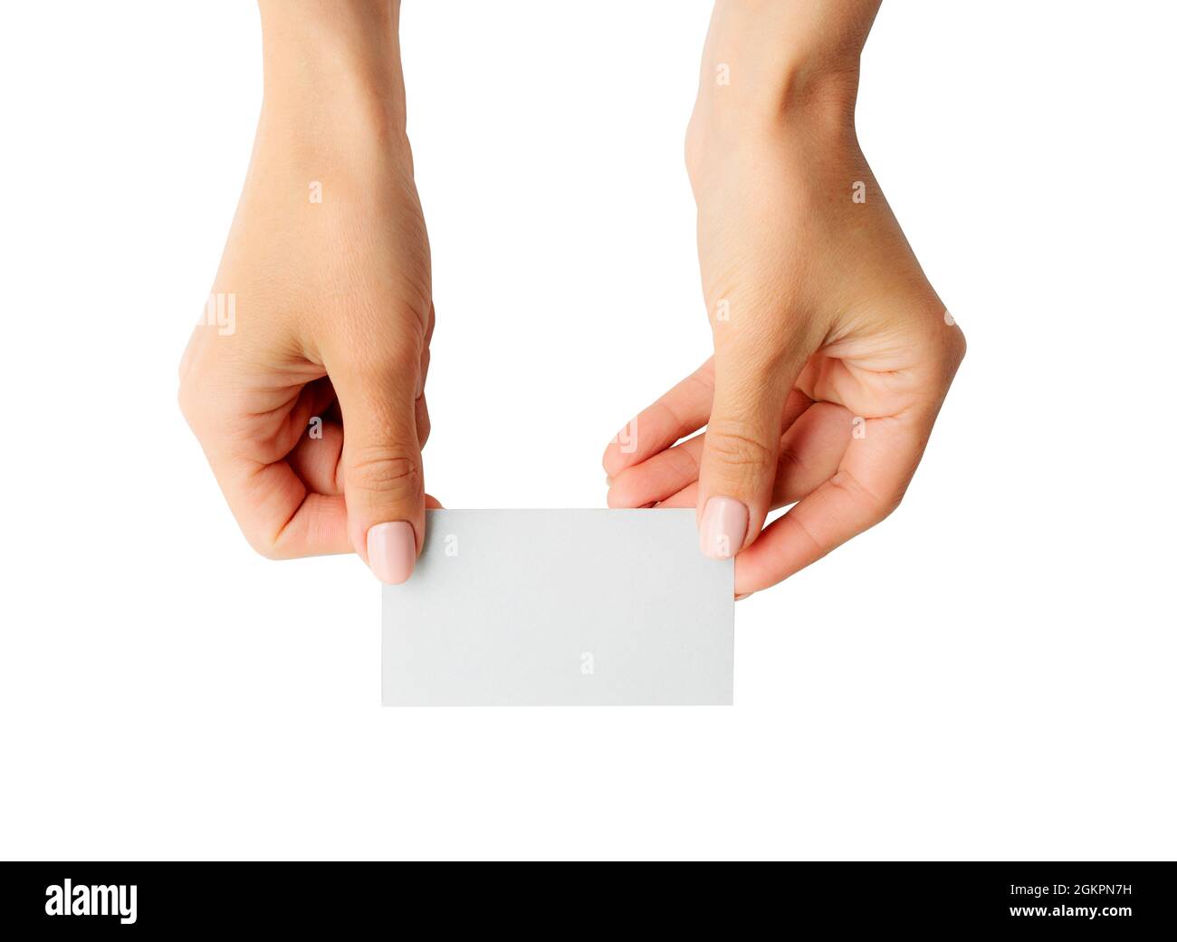 White business card in girl hands Stock Photo - Alamy