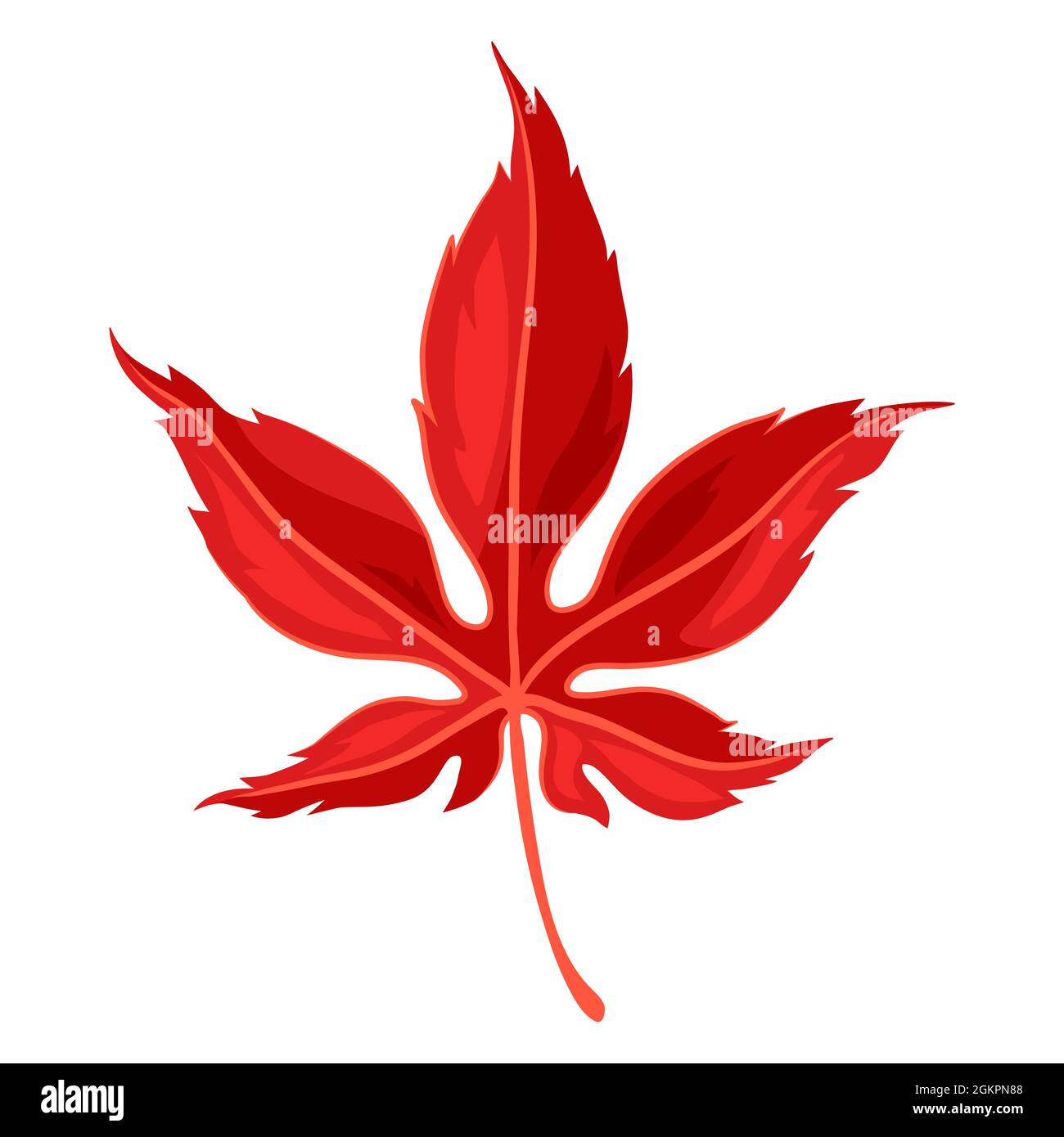 Illustration of maple leaf. Decorative autumn plant. Nature item Stock ...