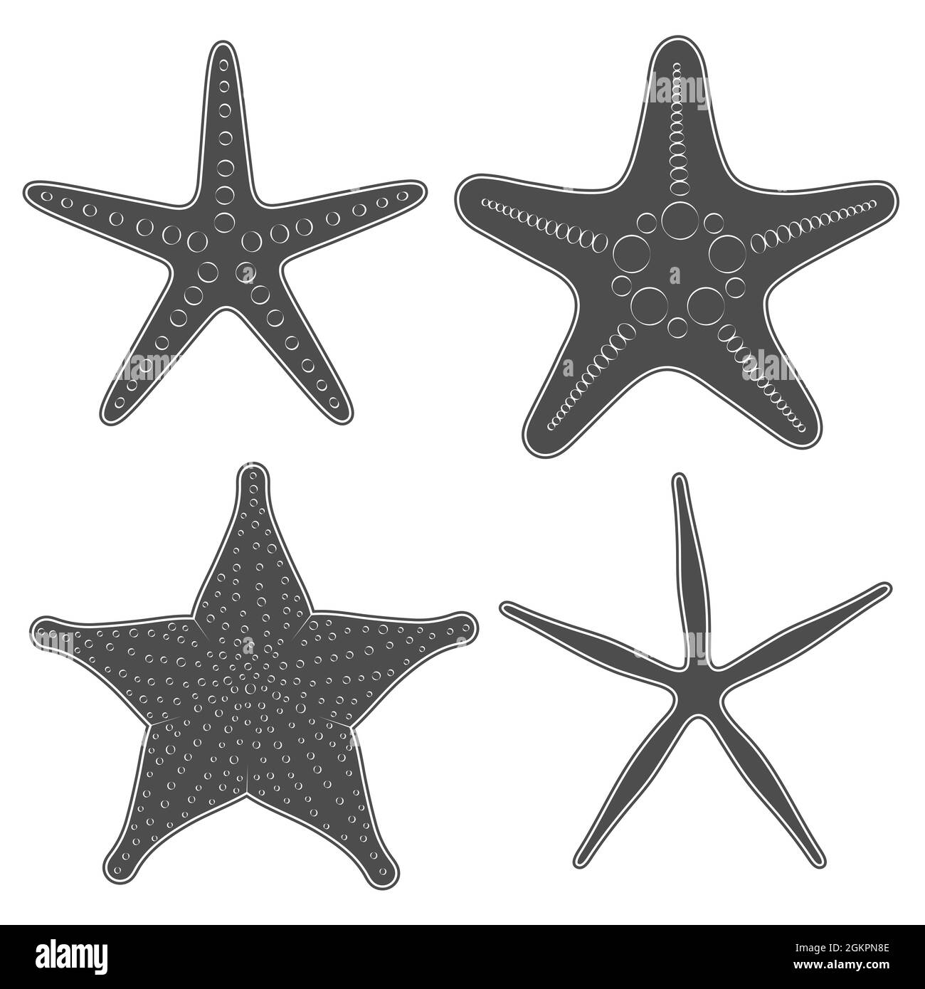 Starfish sea objects on Stock Vector Images - Alamy