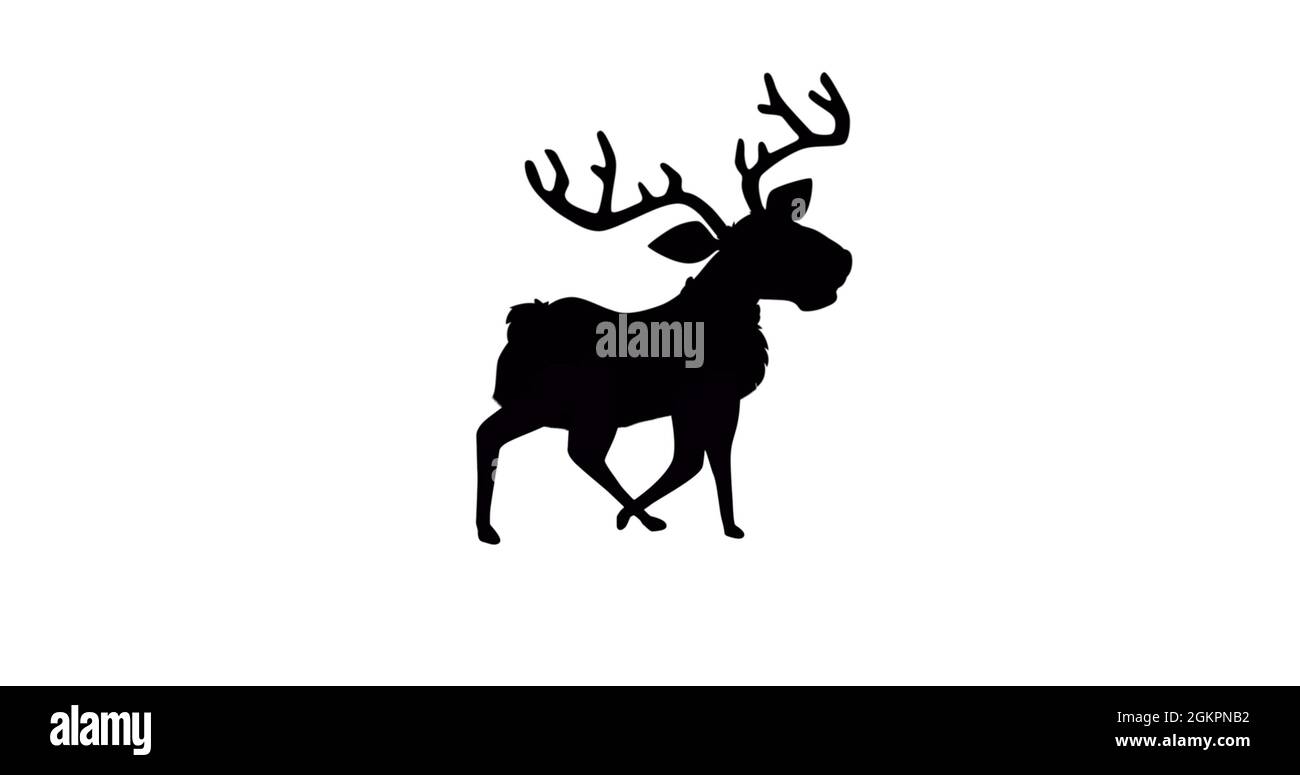 Digital image of black silhouette of reindeer walking against white ...