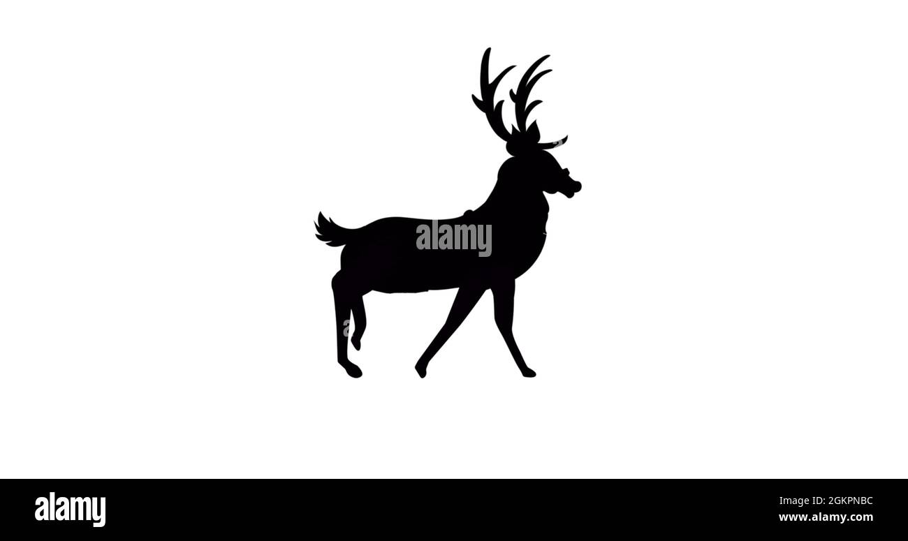 Digital image of black silhouette of reindeer walking against white ...