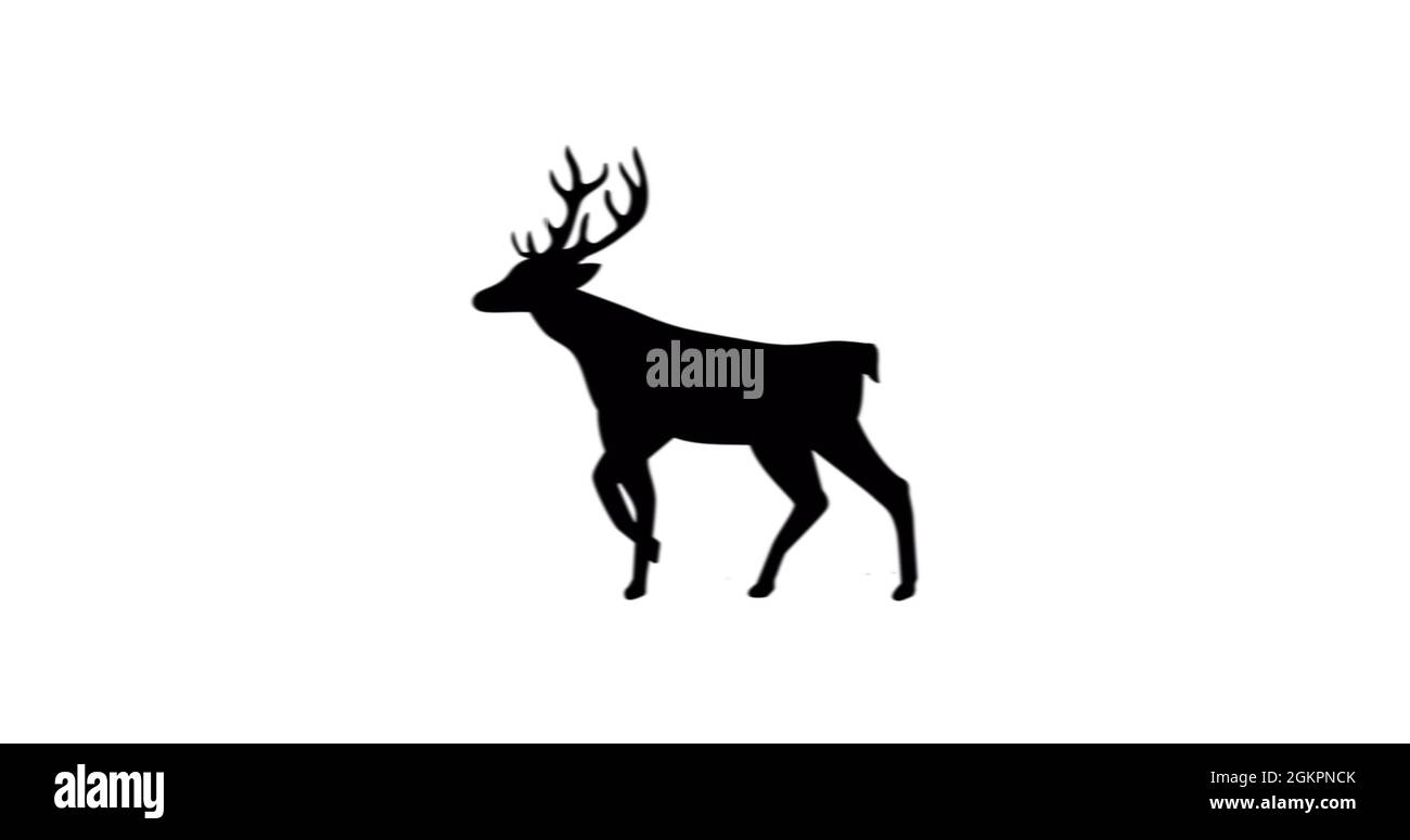 Digital image of black silhouette of reindeer walking against white ...