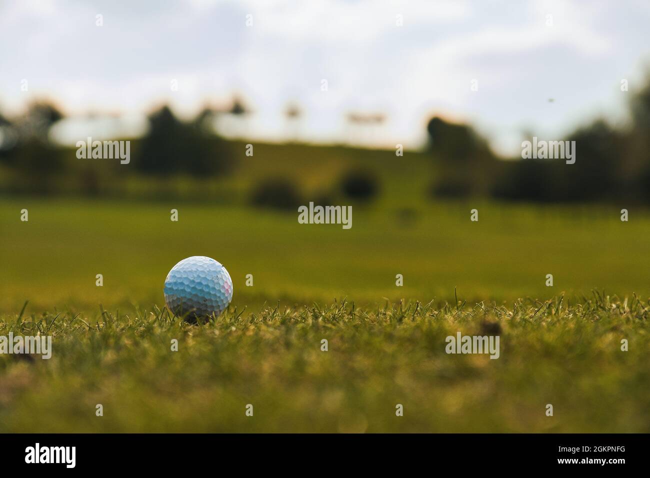 Shallow focus shot of a golf ball in a golf course Stock Photo - Alamy
