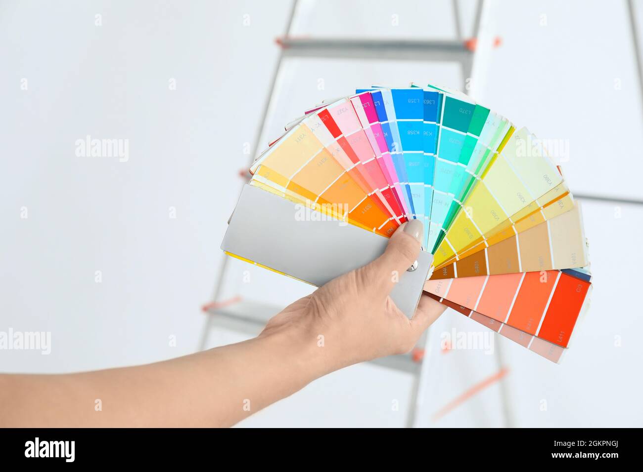 Young female decorator with color palette samples near ladder on white ...