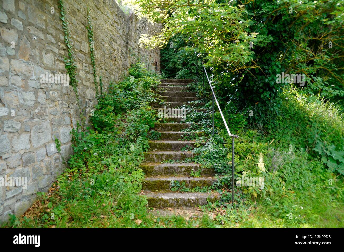 a beautiful view of a staircase of Marienberg Fortress in the city of ...