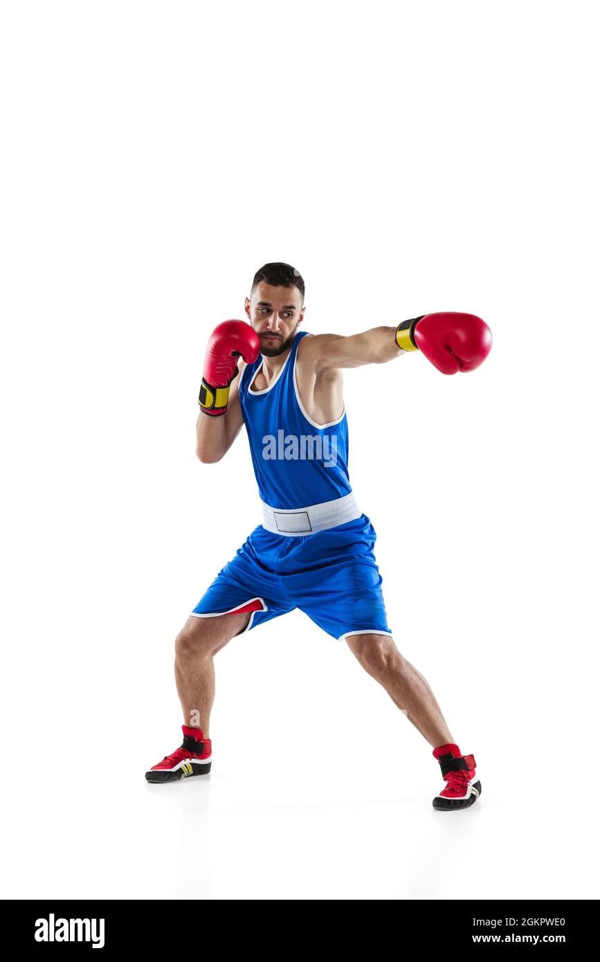 One professional boxer in blue uniform training isolated over white ...