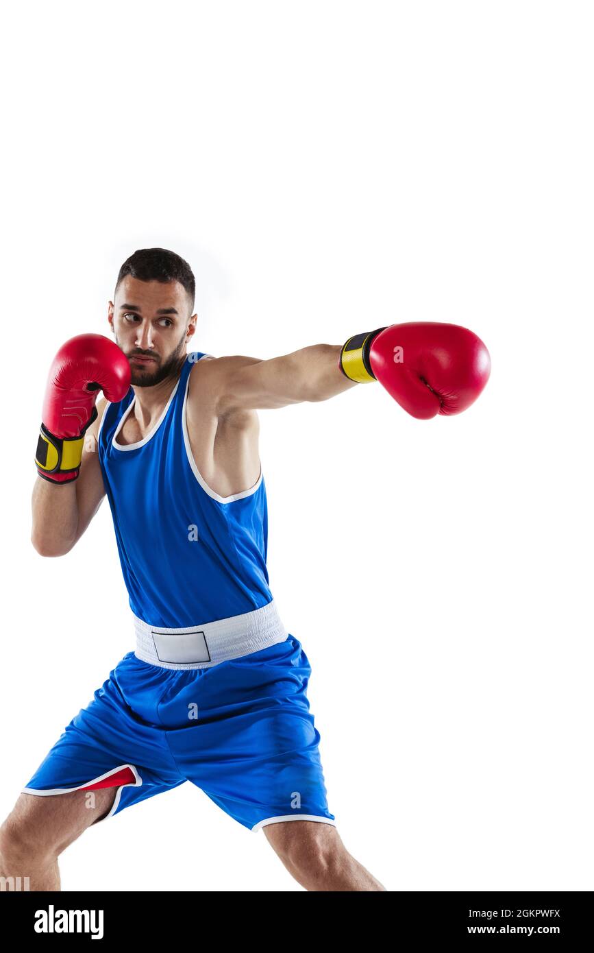 One professional boxer in blue uniform training isolated over white ...
