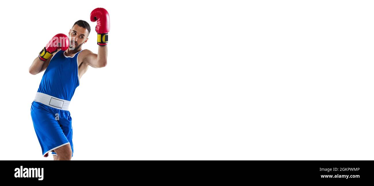 Portrait of one professional boxer in blue uniform training isolated ...