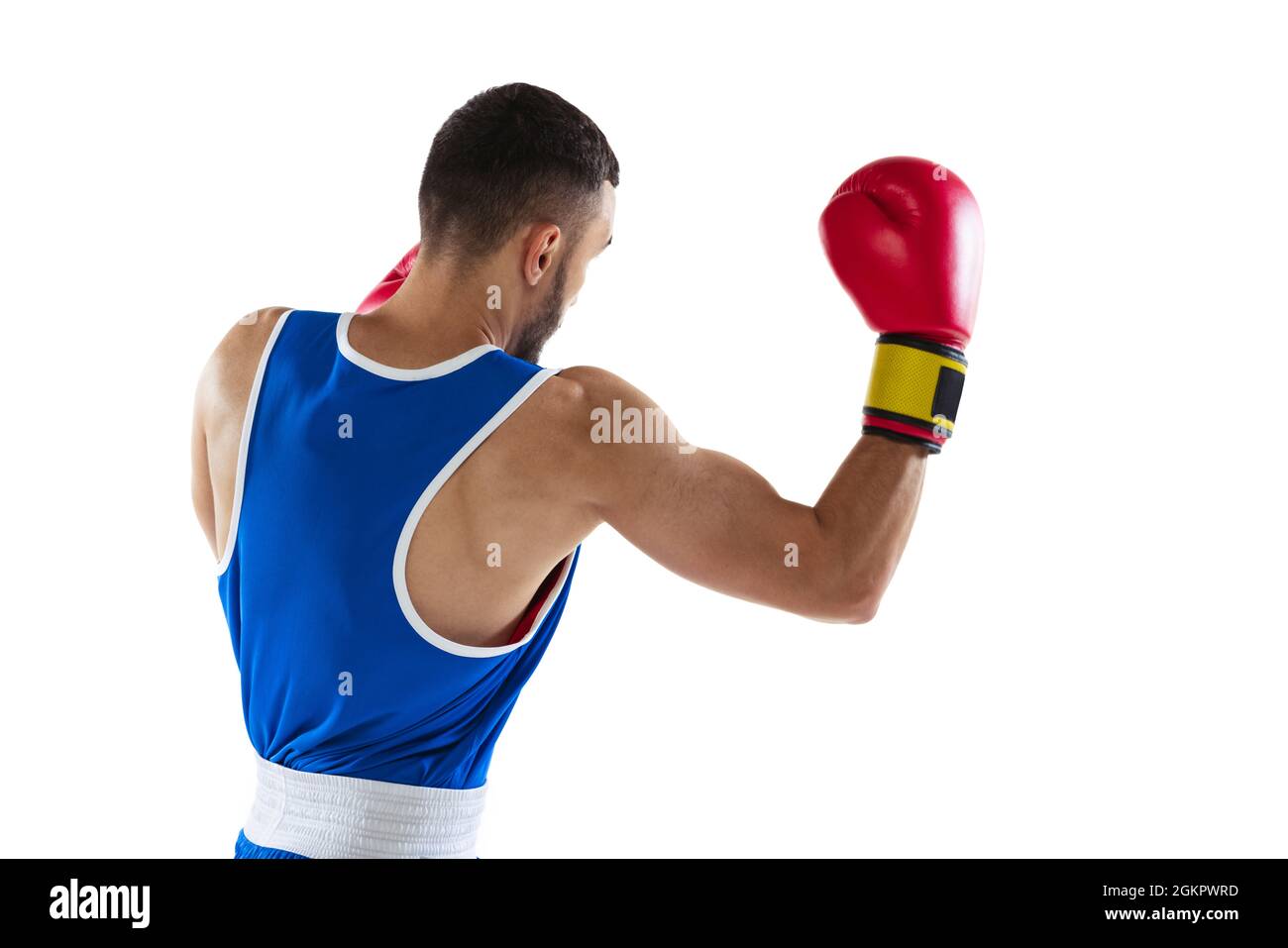 Back view portrait of one professional boxer in blue uniform training ...