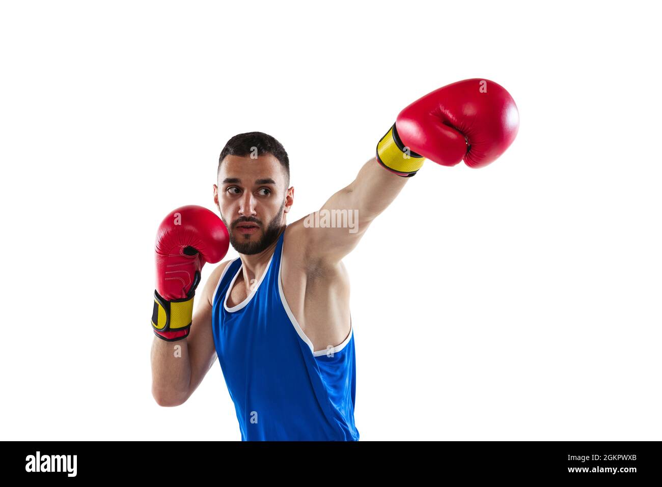 Portrait of one professional boxer in blue uniform training isolated ...