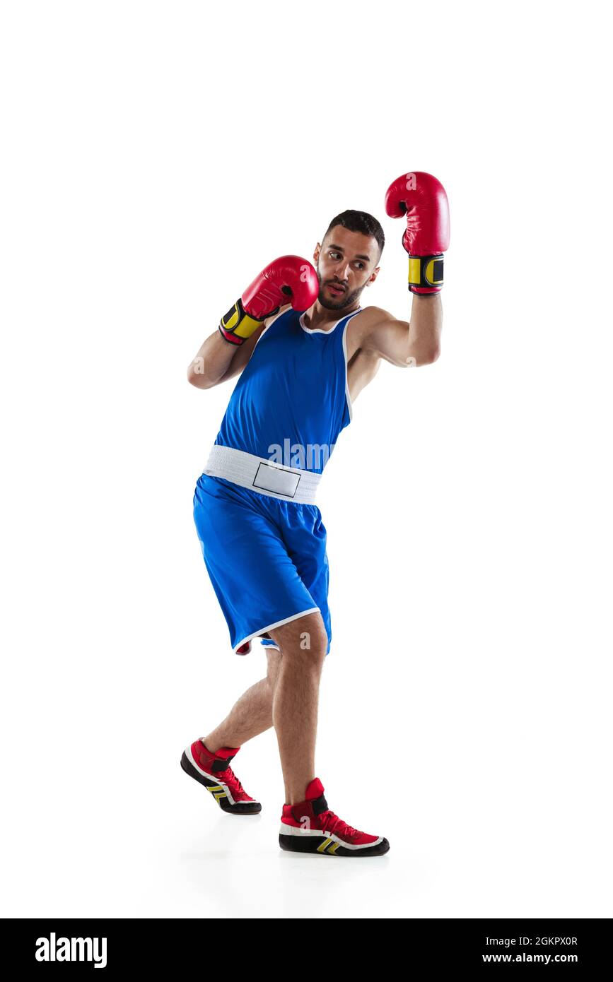 Portrait of one professional boxer in blue uniform training isolated ...