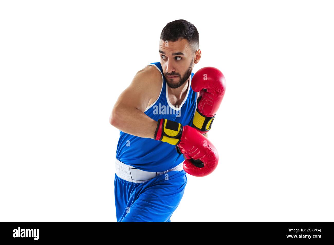 Portrait of one professional boxer in blue uniform training isolated ...