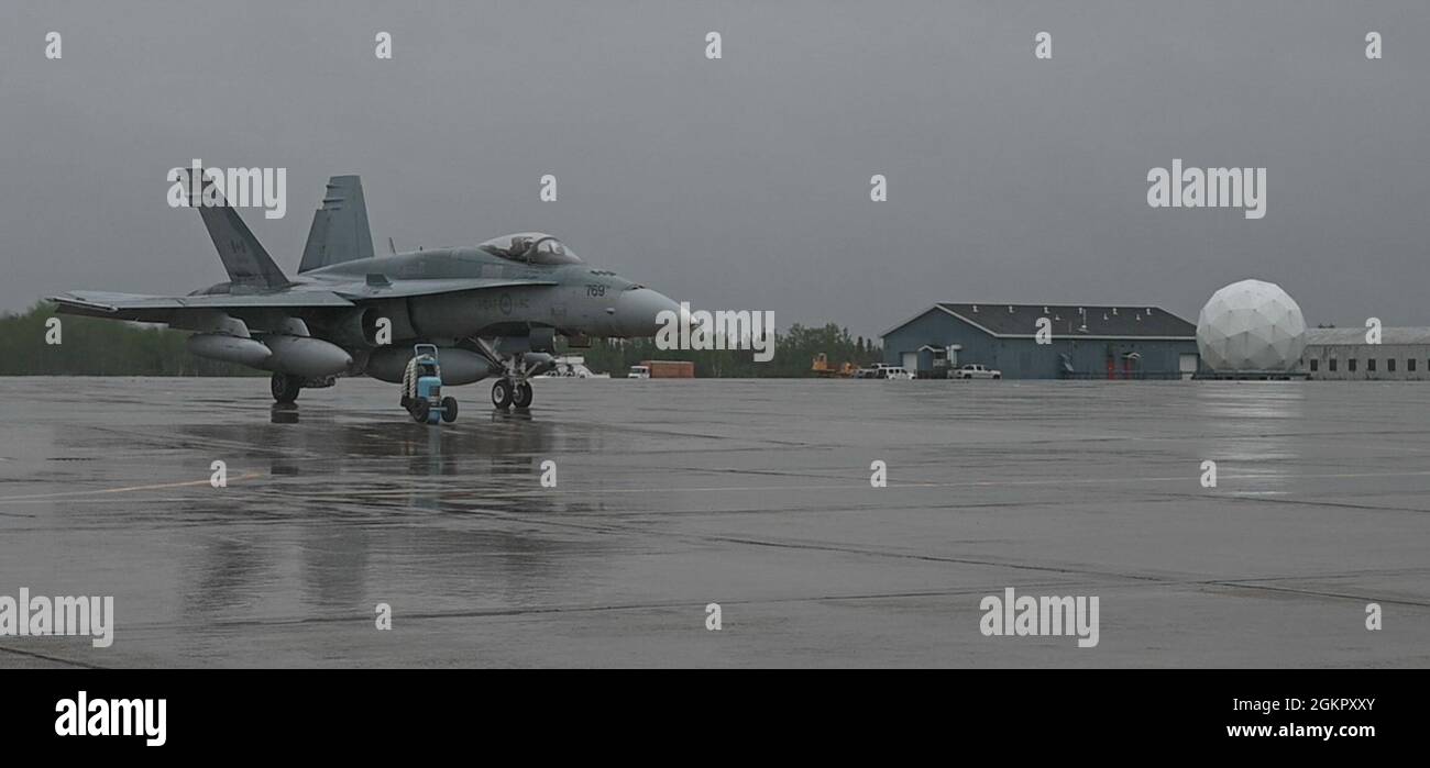 A Royal Canadian Air Force CF-18 Hornet from 433 Tactical Fighter ...