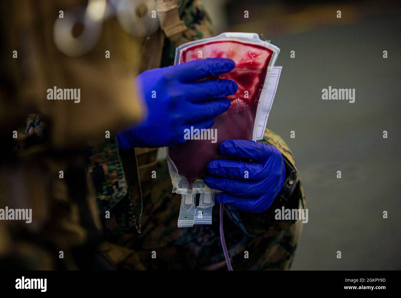 A U.S. Navy sailor with Battalion Landing Team 3/5, 31st Marine ...