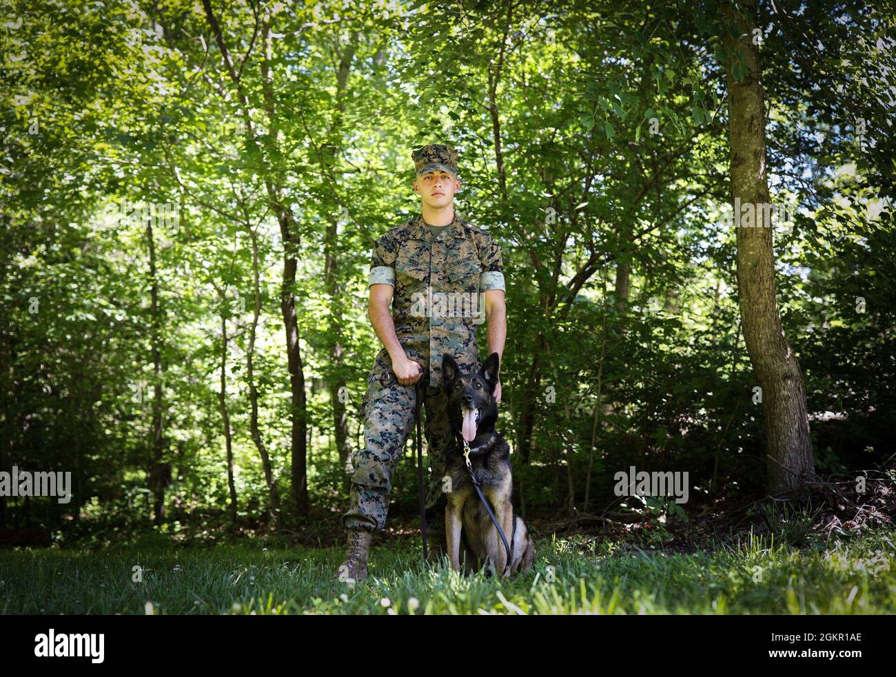 U.S. Marine Corps Lance Cpl. Mason Avers, a military working dog ...