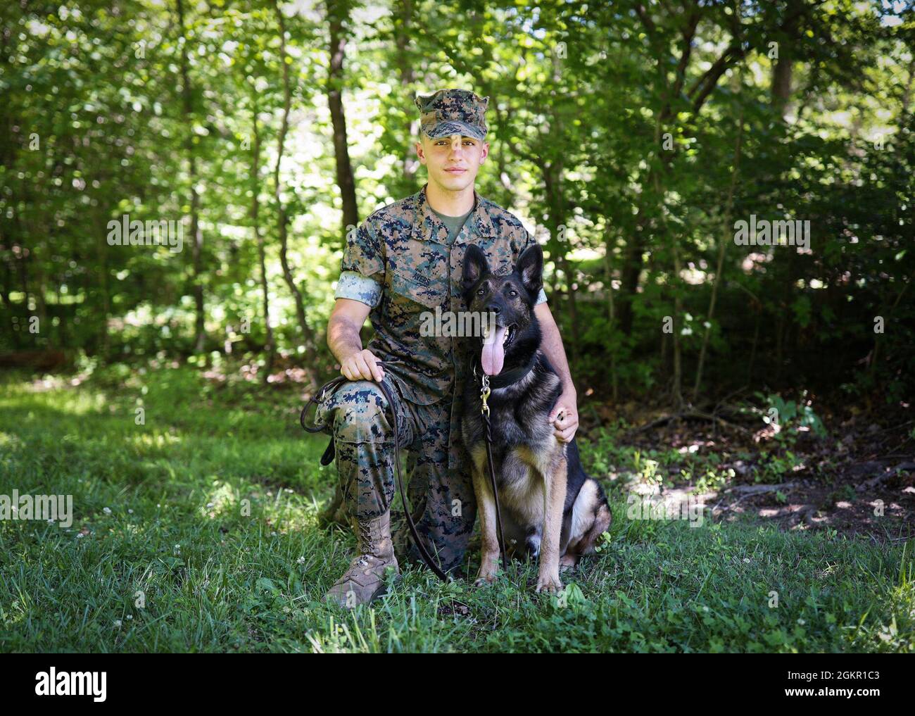 U.S. Marine Corps Lance Cpl. Mason Avers, a military working dog ...