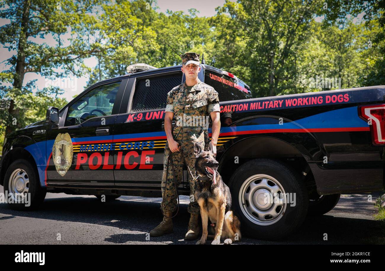 U.S. Marine Corps Lance Cpl. Mason Avers, a military working dog ...