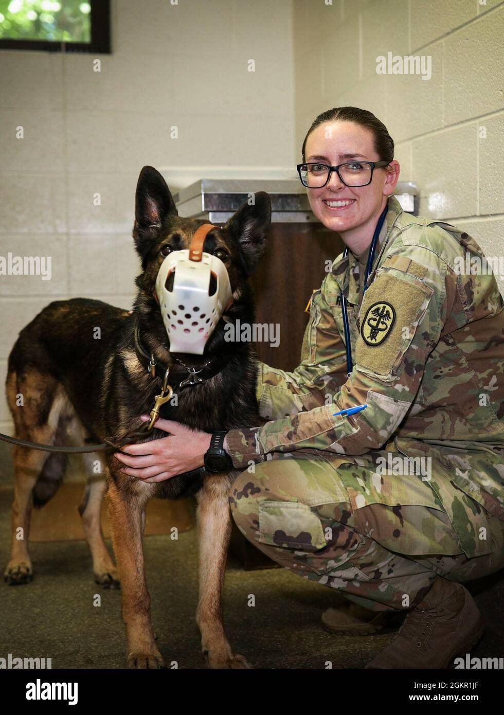 U.S. Army Capt. Rebecca Reed, officer in charge, Veterinary Services ...