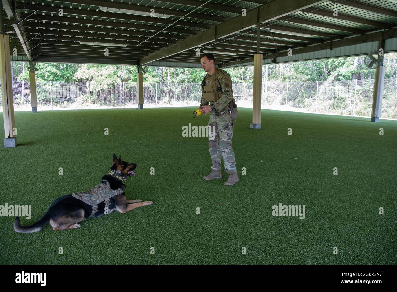U.S. Air Force Staff Sgt. Pigg, a military working dog handler with the ...