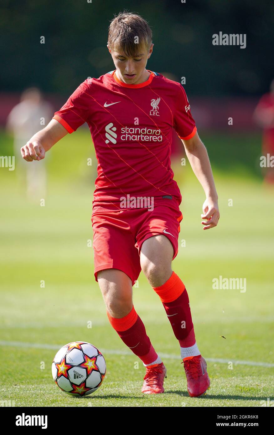 Max woltman hi-res stock photography and images - Alamy