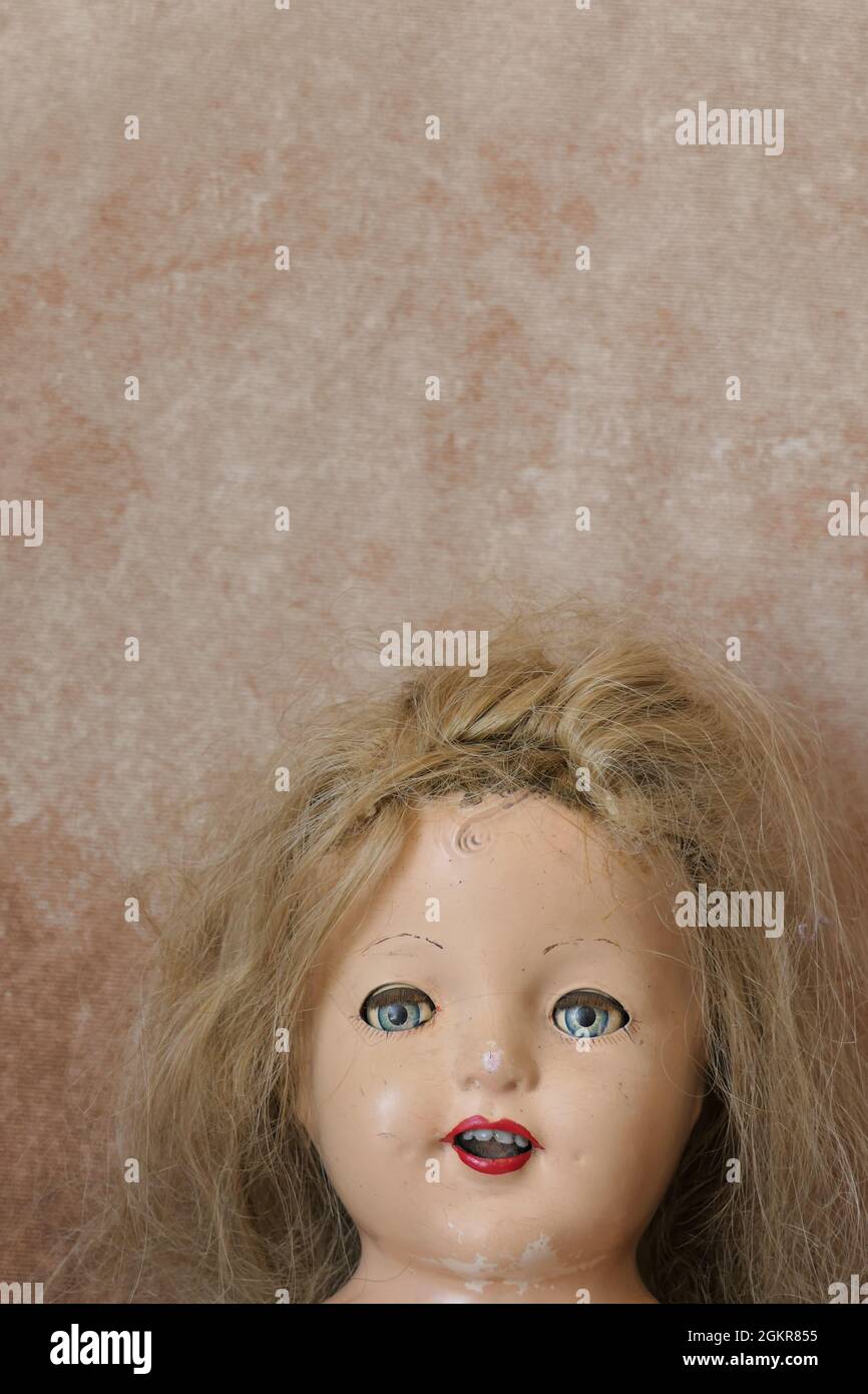 Harold Doll's Instagram, Twitter & Facebook on IDCrawl