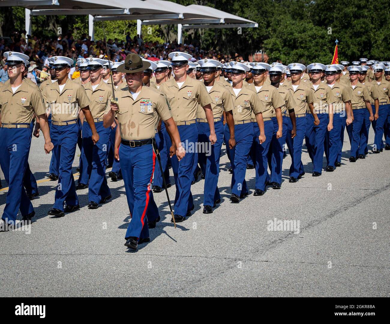 Gunnery Sgt. Anton Arifaj, a senior drill instructor with Echo Company ...