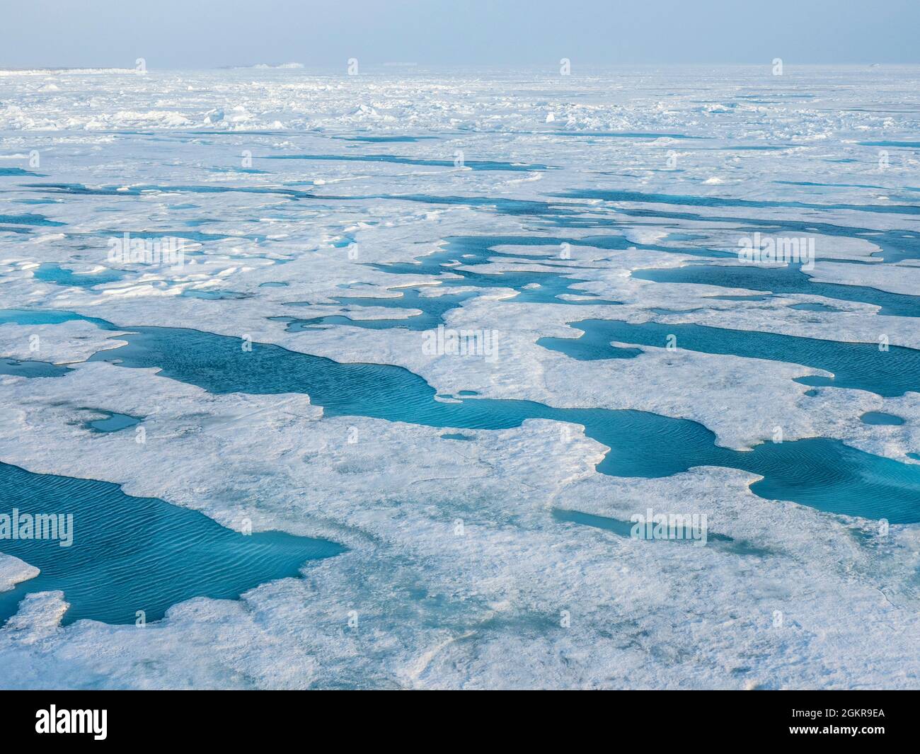 Fast ice with open leads off the east coast of Greenland, Polar Regions ...
