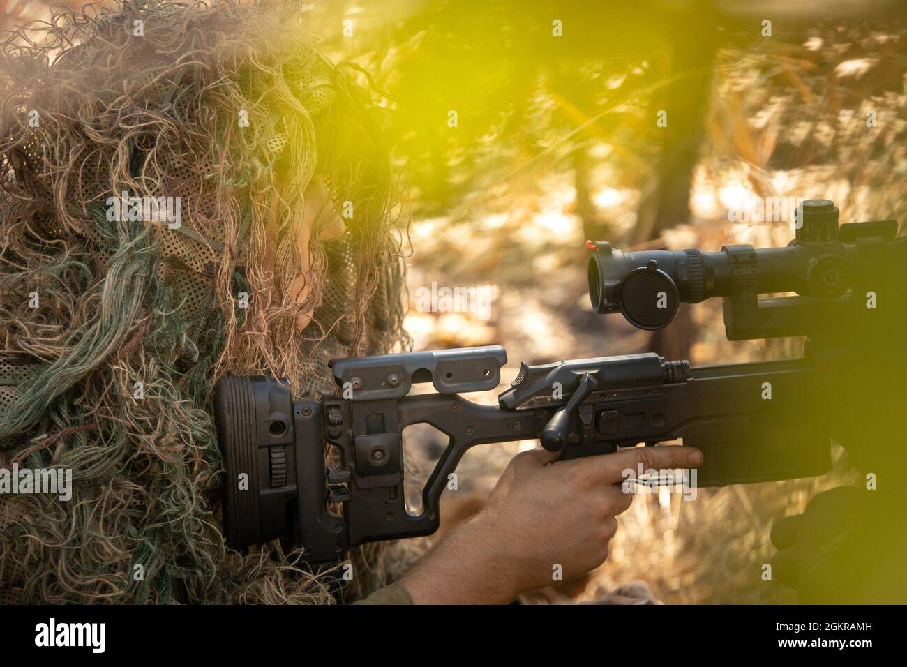Blaser tactical 2 sniper rifle hi-res stock photography and images - Alamy