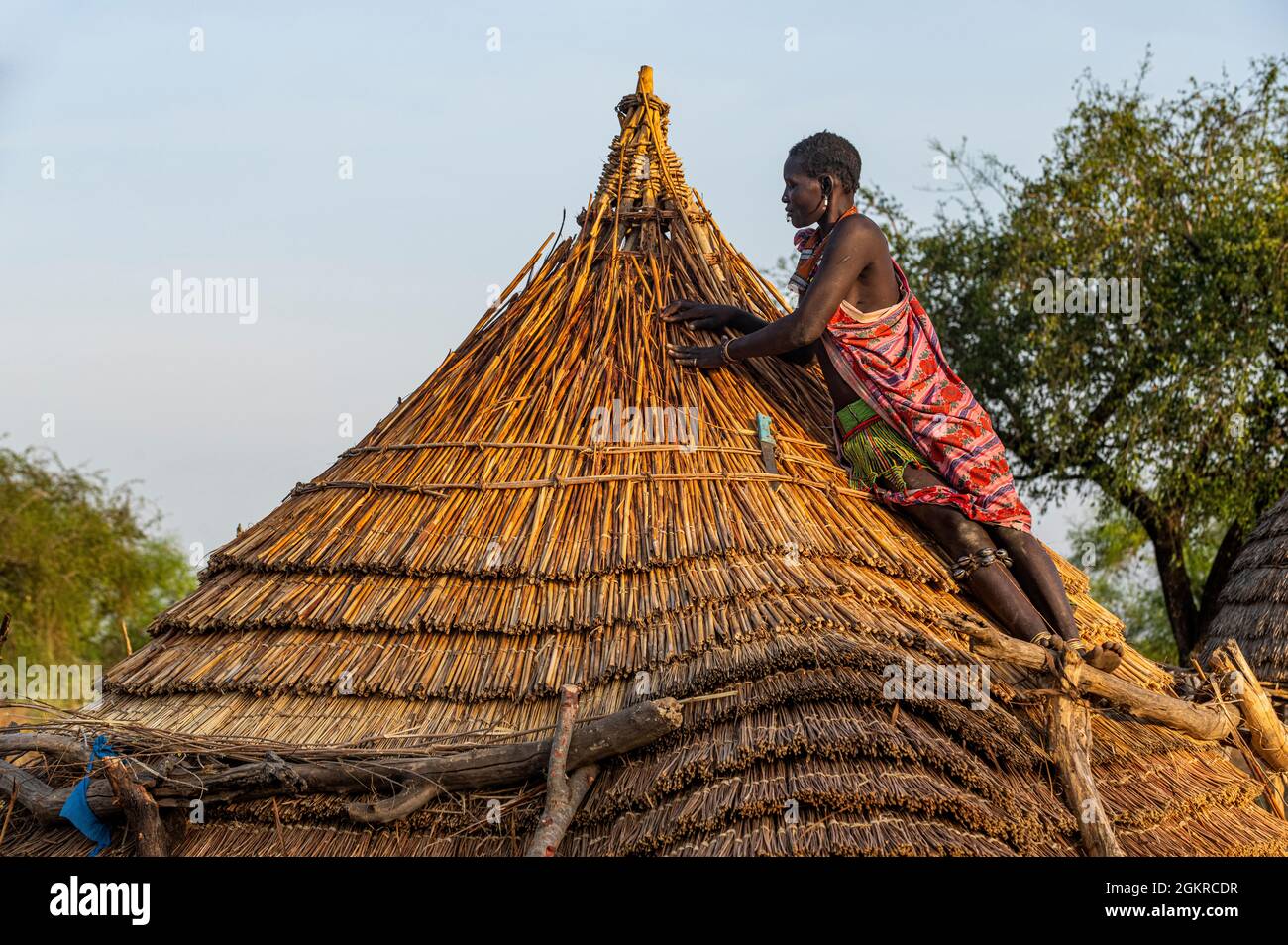 Woman repairing a roof of a traditional build hut of the Toposa tribe ...