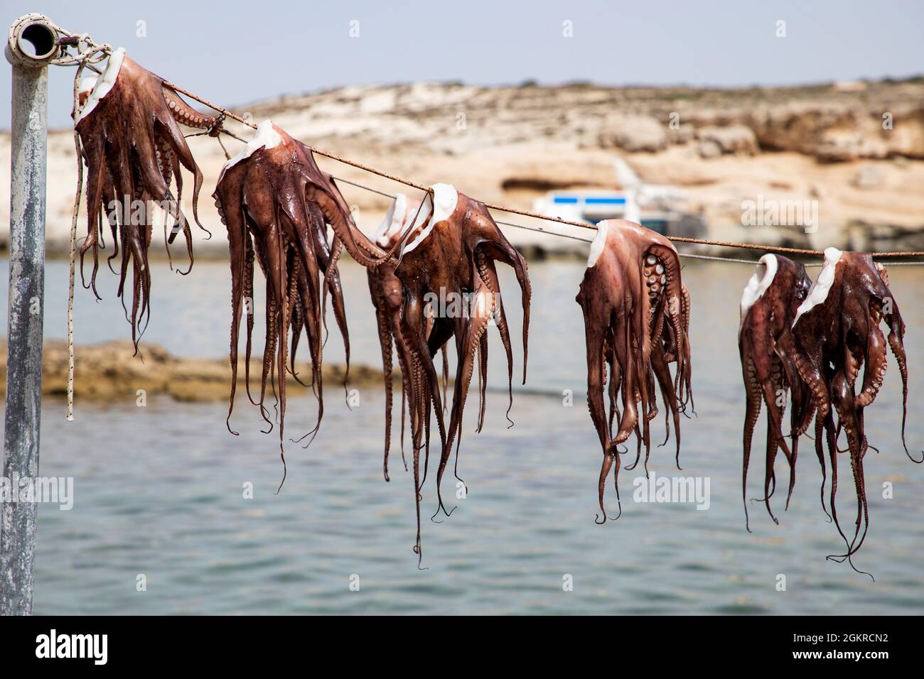 Octopus islands hi-res stock photography and images - Alamy