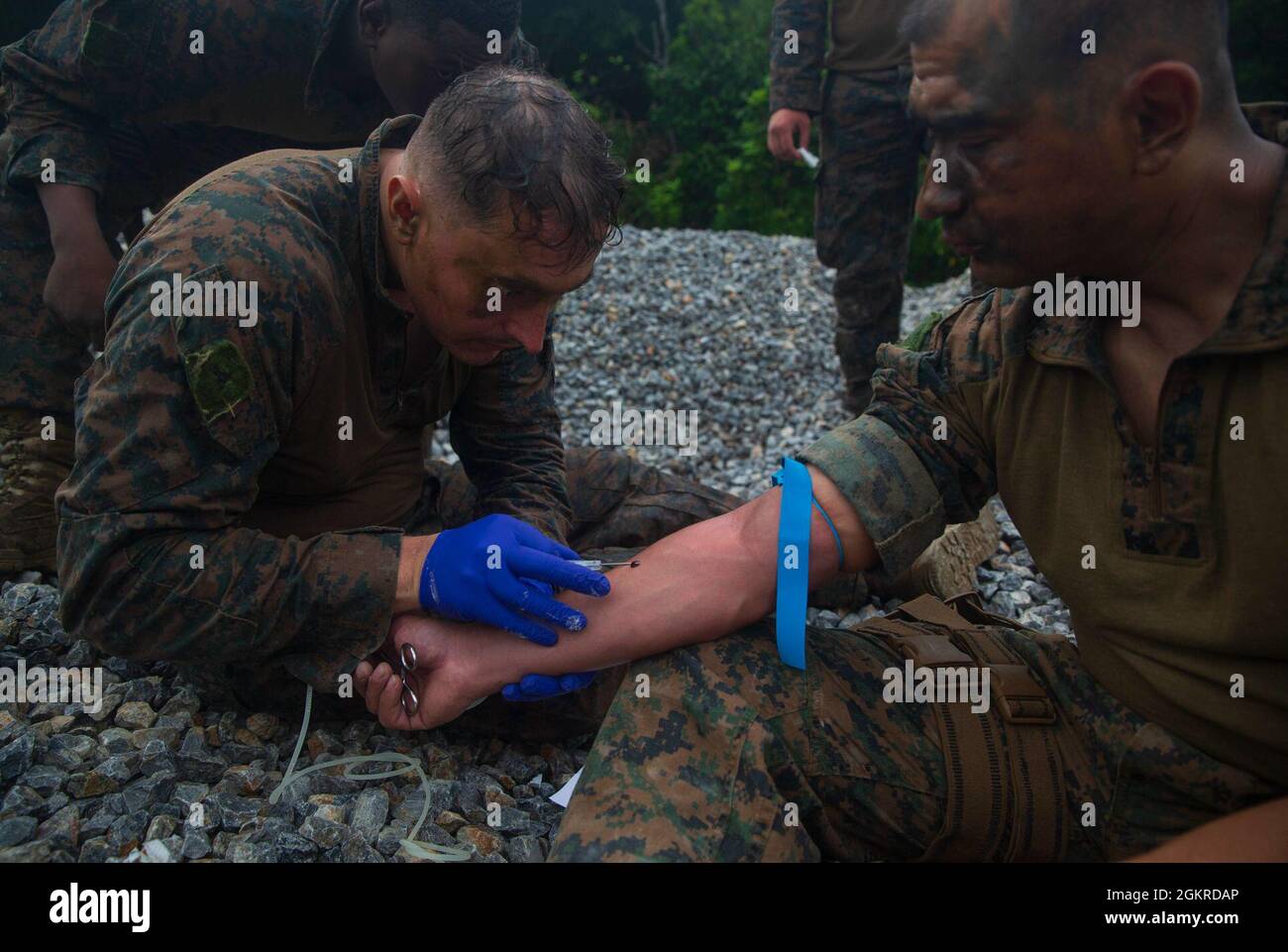 Valkyrie blood transfusion hi-res stock photography and images - Alamy
