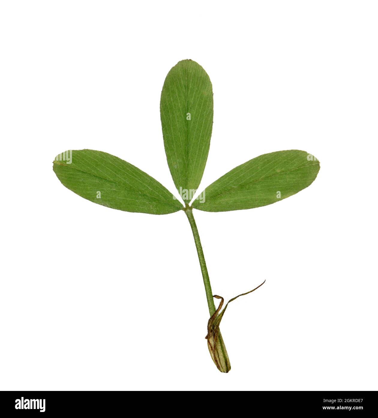 Sea background uk Cut Out Stock Images & Pictures - Alamy