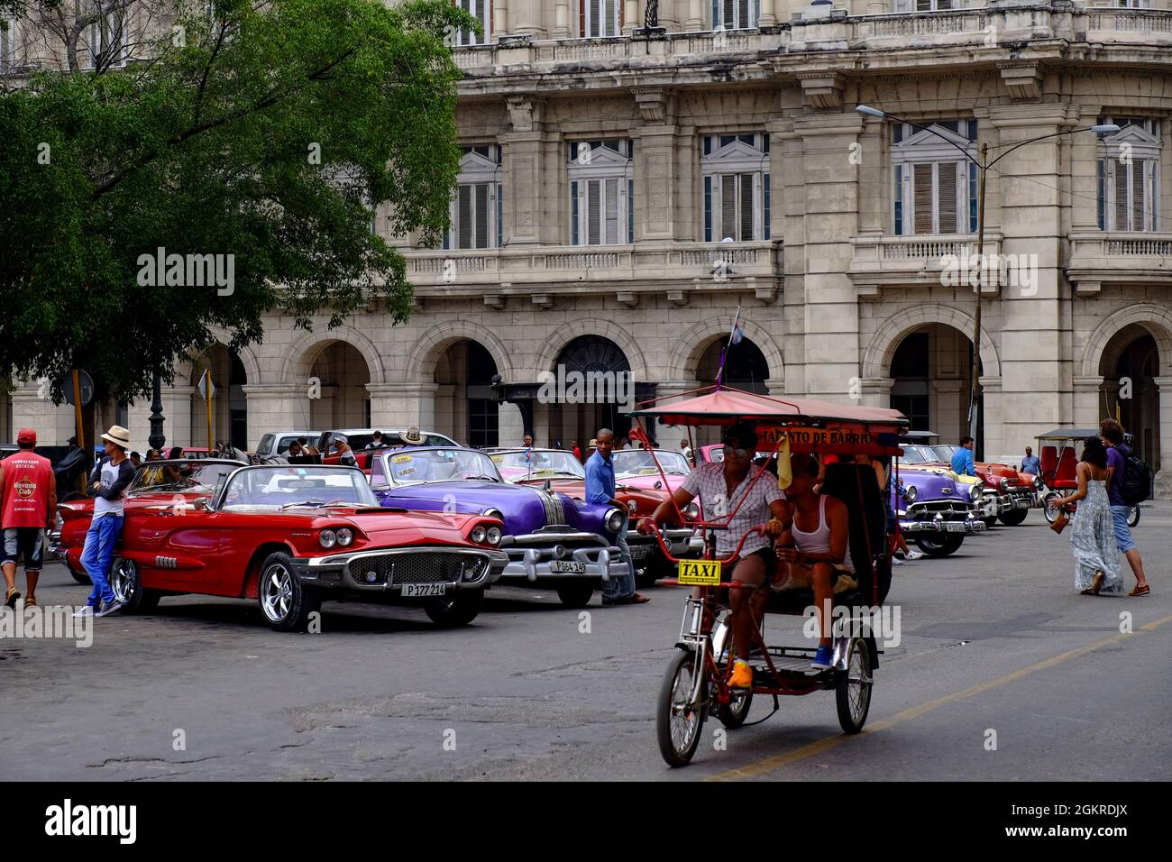 A bicycle carriage rides past many classic vintage cars, Havana, Cuba ...