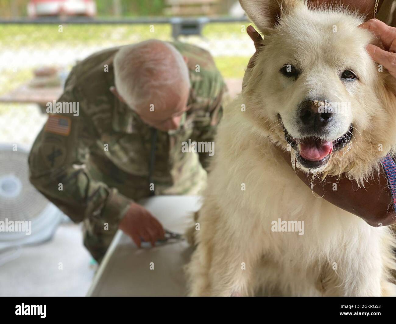 Lieutenant colonel fleming hi-res stock photography and images - Alamy