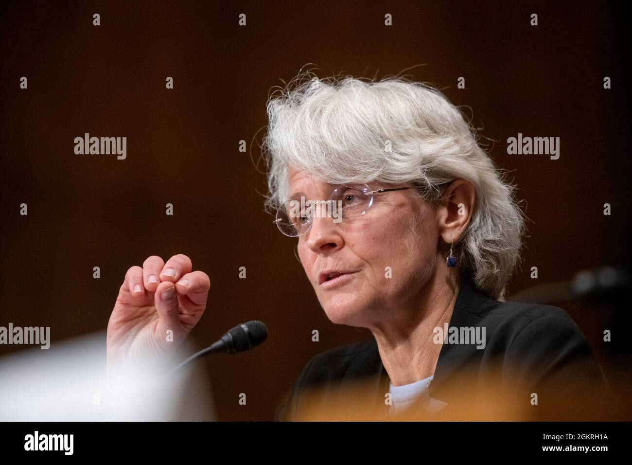 Beth Robinson appears before a Senate Committee on the Judiciary for ...