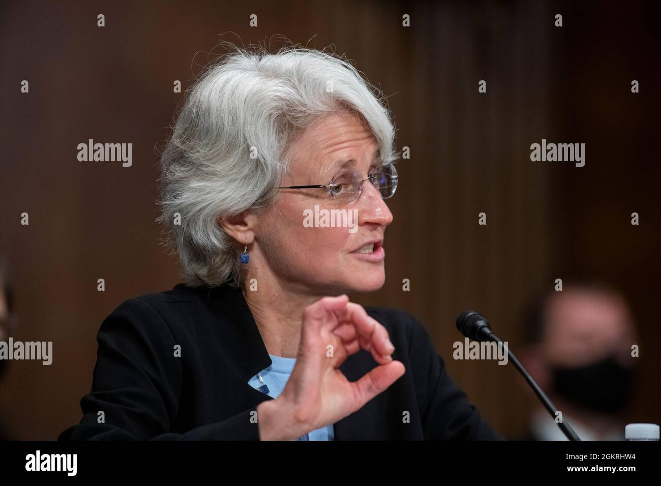 Beth Robinson appears before a Senate Committee on the Judiciary for ...