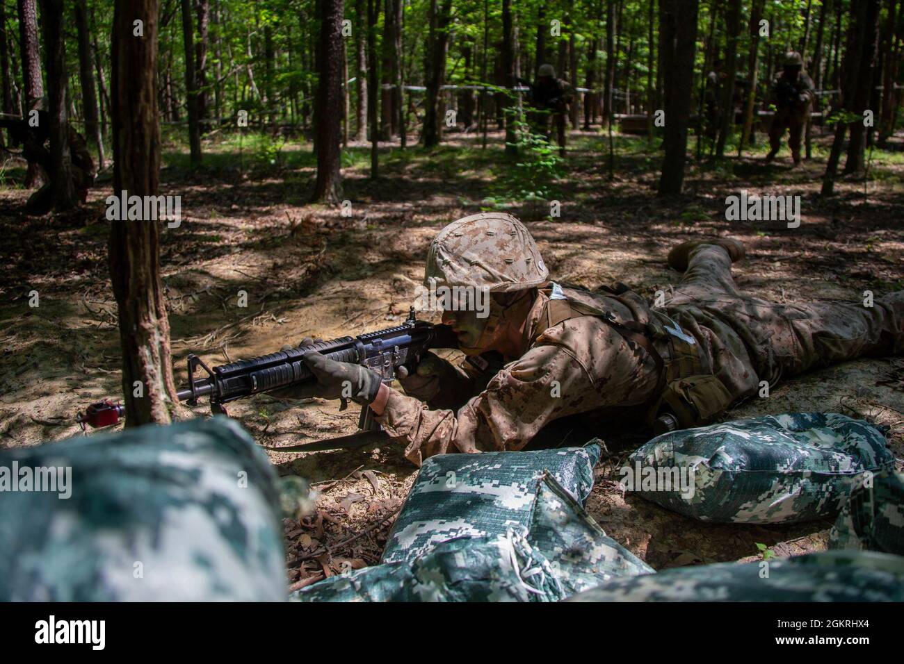 U.S. Marine Corps officer candidates from India Company, conduct a fire ...