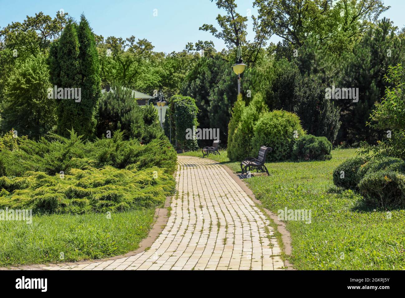 Beautiful view of green park Stock Photo - Alamy
