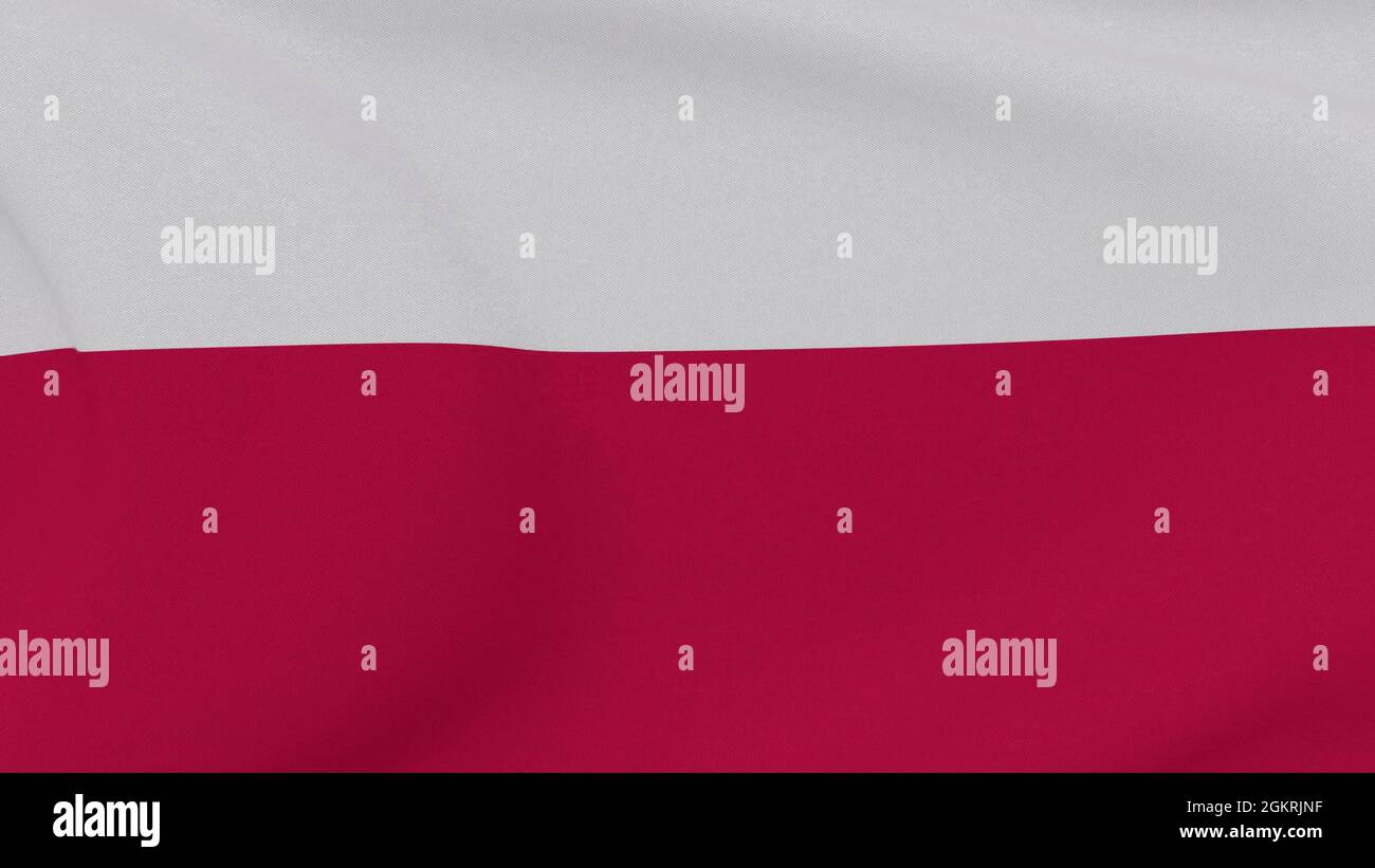 flag Poland patriotism national freedom , 3D illustration Stock Photo ...