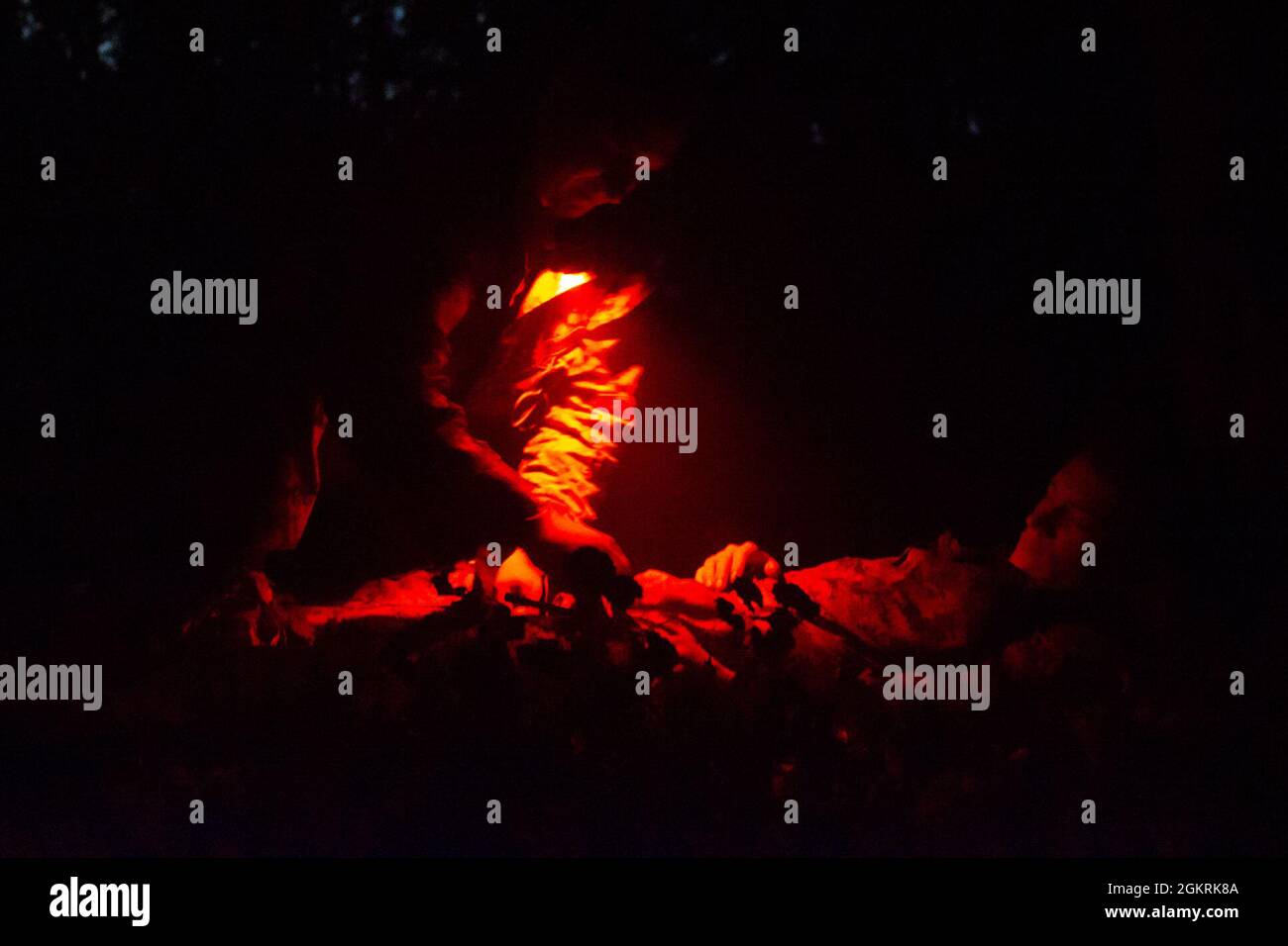 U.S. Marine Corps Capt. Nicholas Boire, an infantry officer with 2d ...