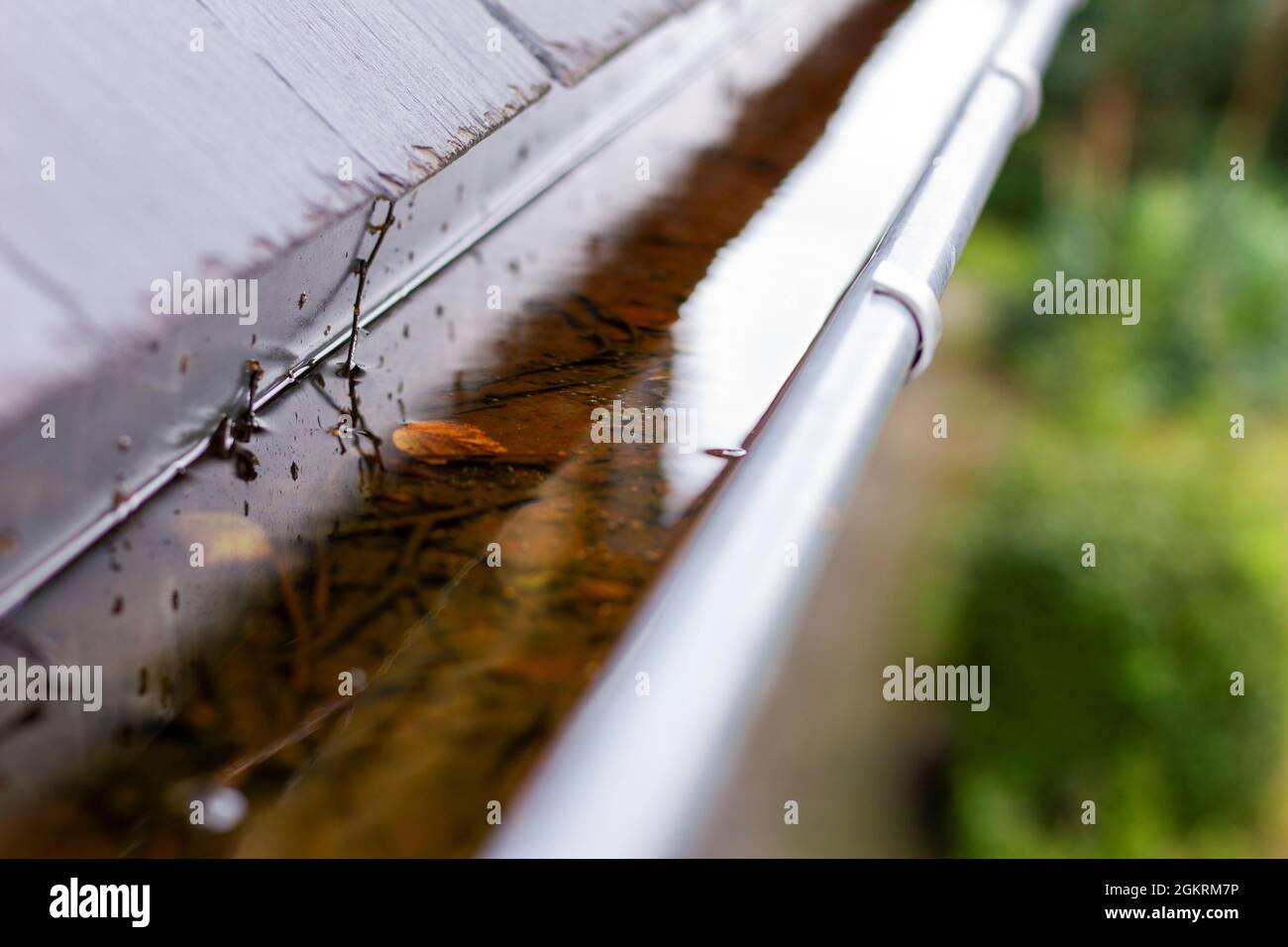 A close up portrait of a clogged roof gutter full of rain water during ...