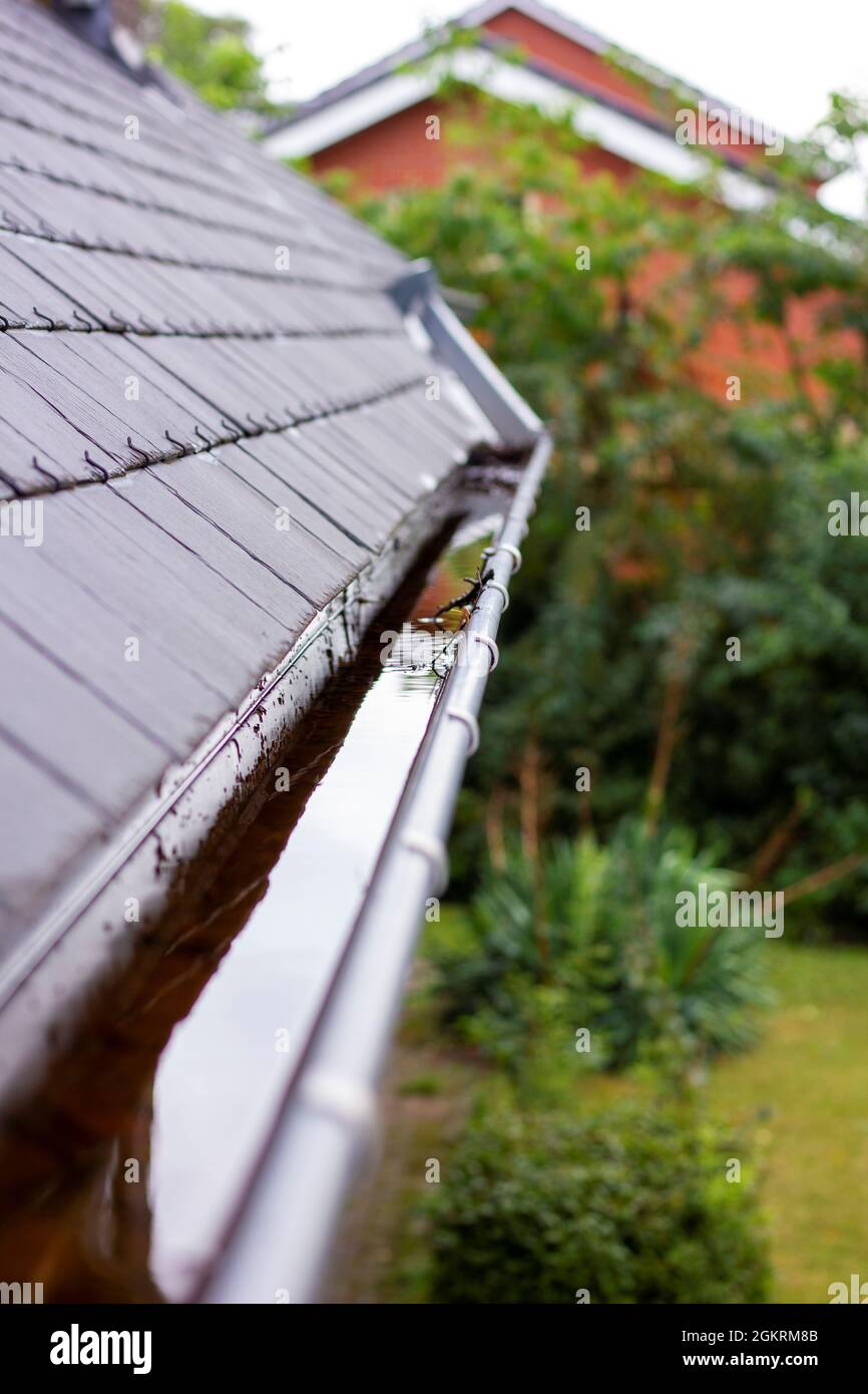 A portrait of a clogged roof gutter full of rain water during a rainy ...