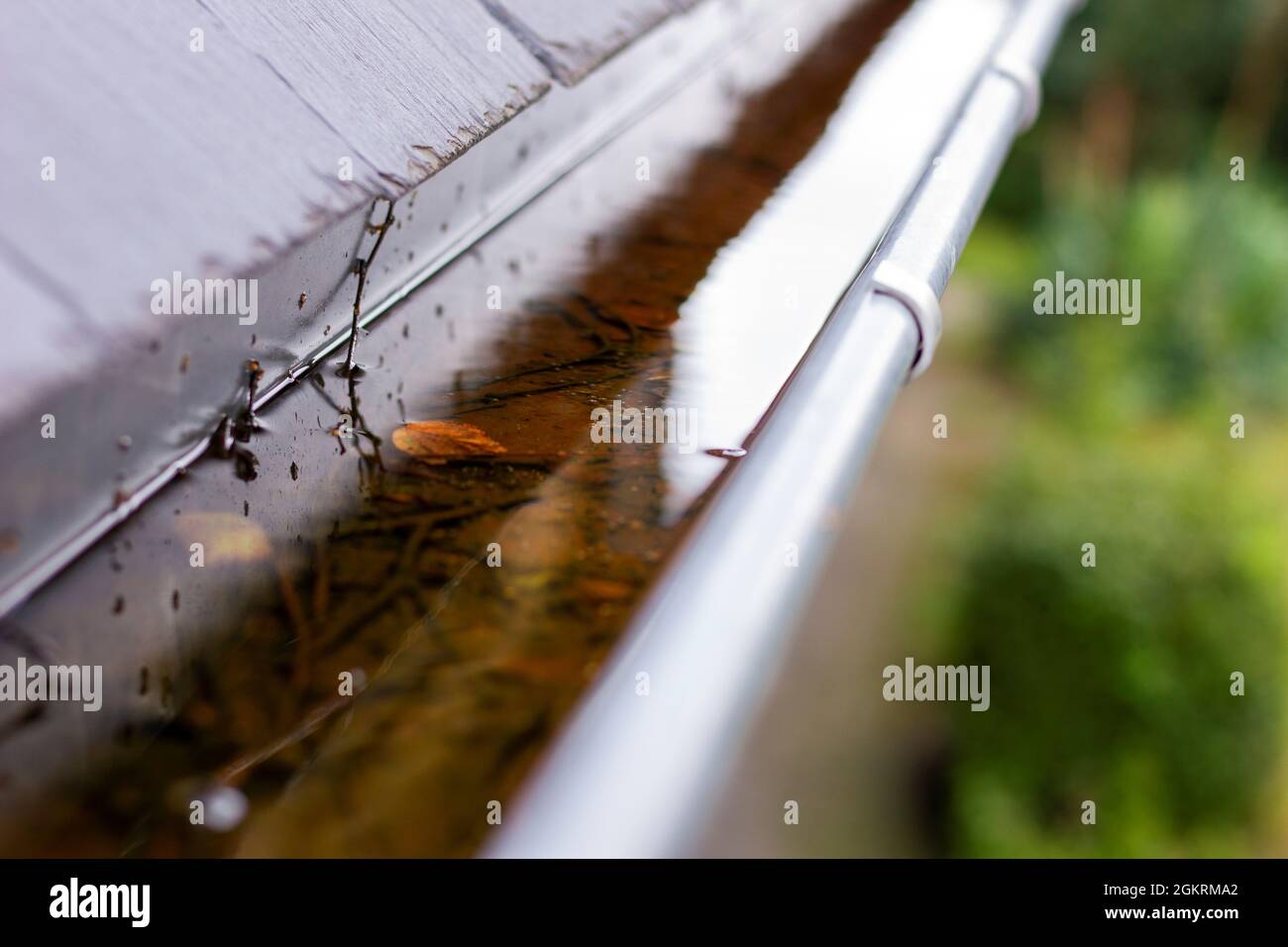 A close up portrait of a clogged roof gutter full of rain water during ...