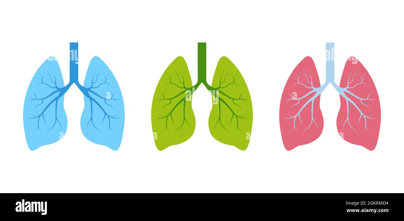 Human lung real hi-res stock photography and images - Alamy
